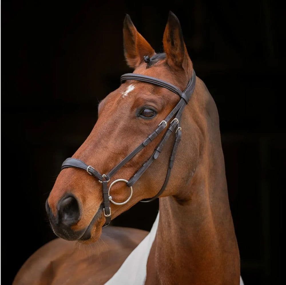 Shires RAPIDA Drop Noseband Bridle