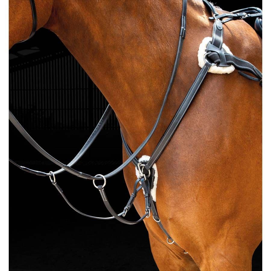Shires Salisbury Five Point Breastplate