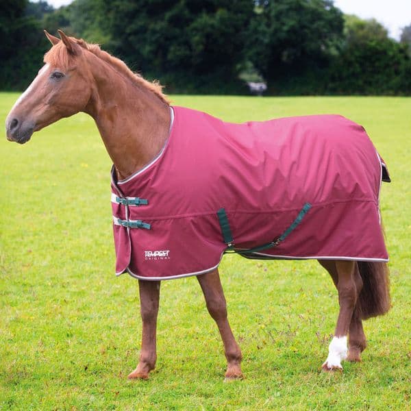 Shires Tempest Original 200 Turnout Rug - Maroon