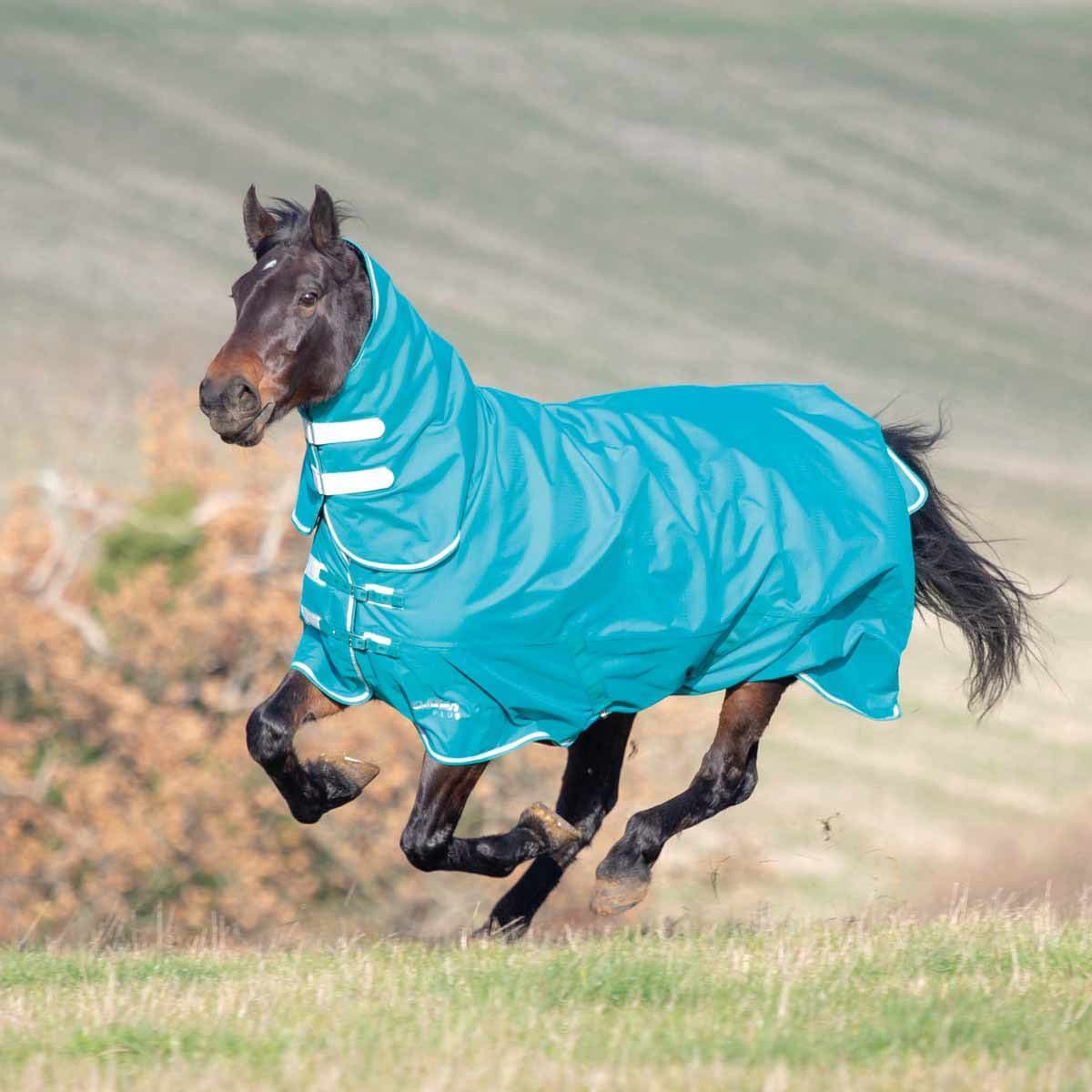 Shires Tempest Plus 200 Combo Turnout Rug