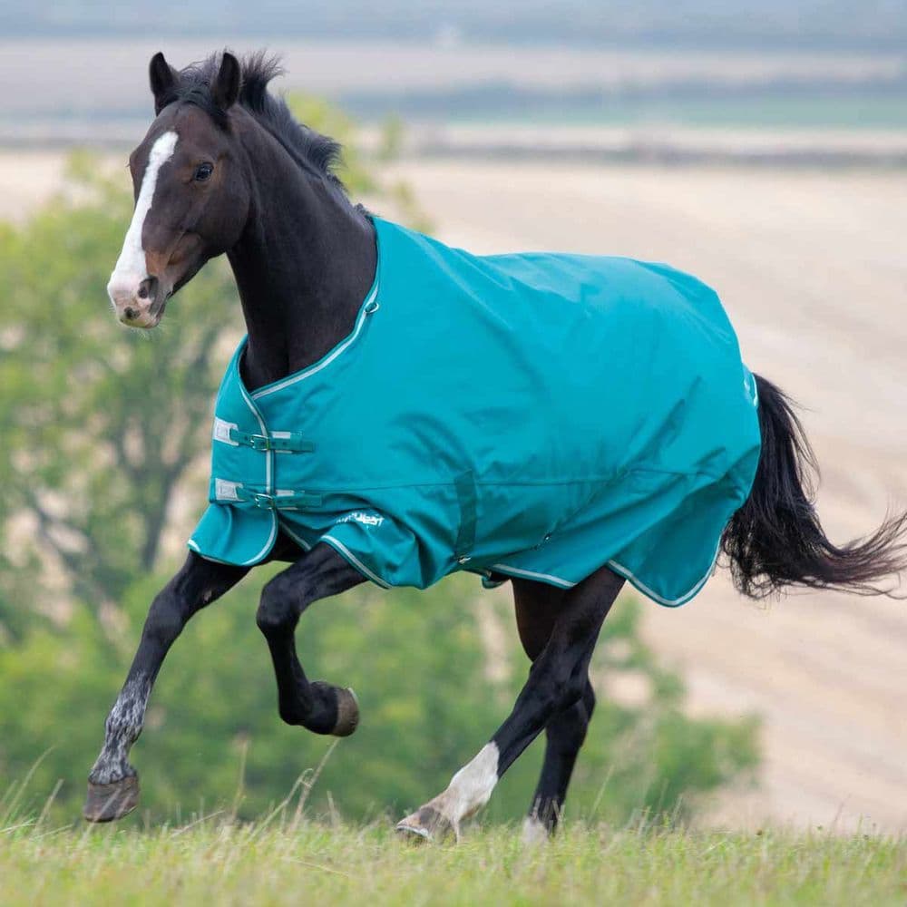 Shires Tempest Plus 200 Turnout Rug