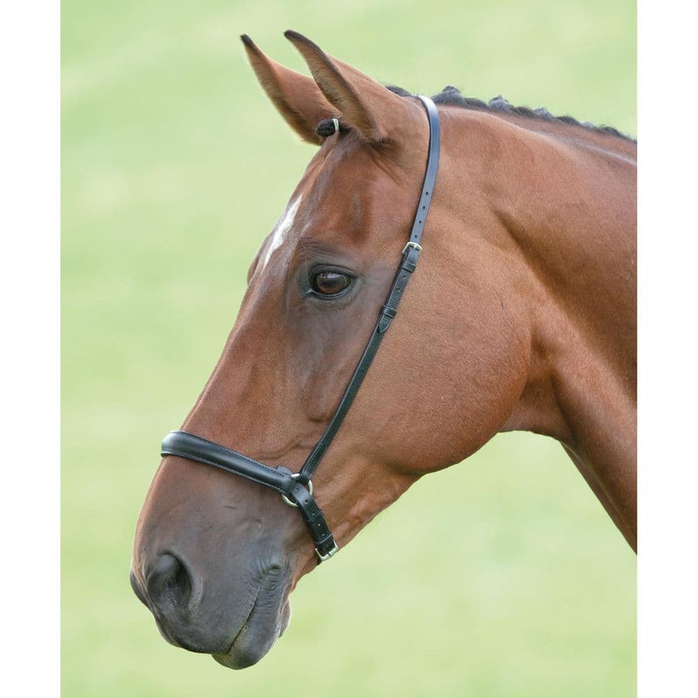 Shires Velociti Drop Noseband