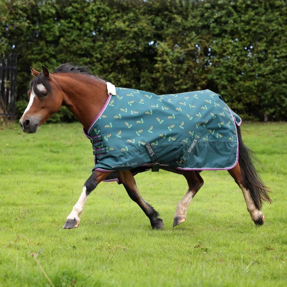Shires Winnie & Me 100 Turnout Rug