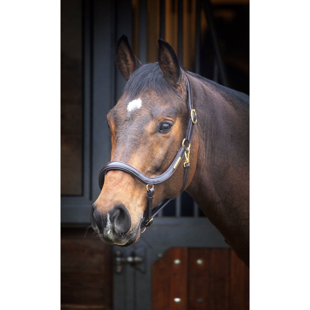 Velociti RAPIDA Curved Leather Headcollar