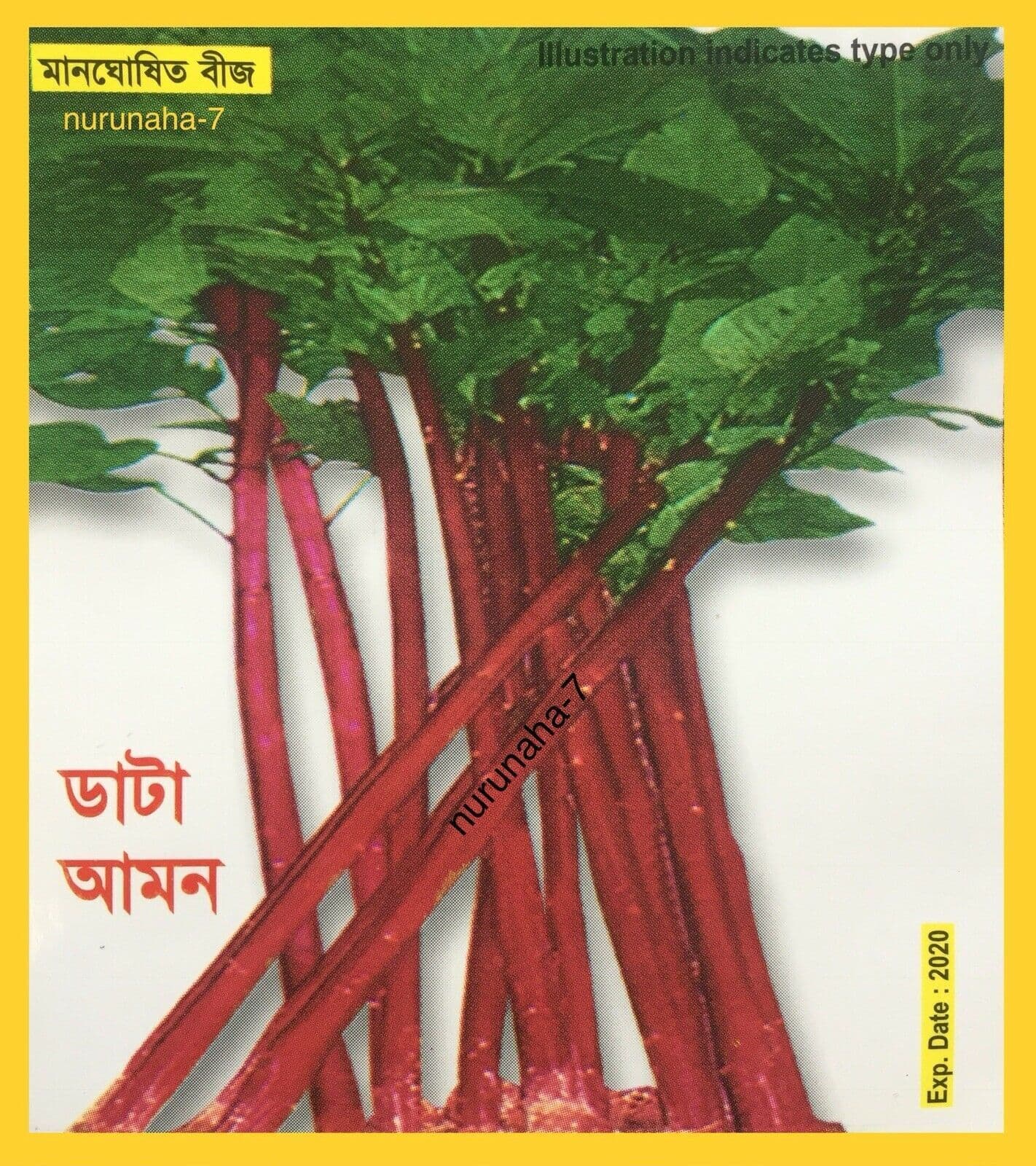 2600 Seeds Asian Bangladeshi Seeds AMON STEM AMARANTH Data Denga Dugi HQ