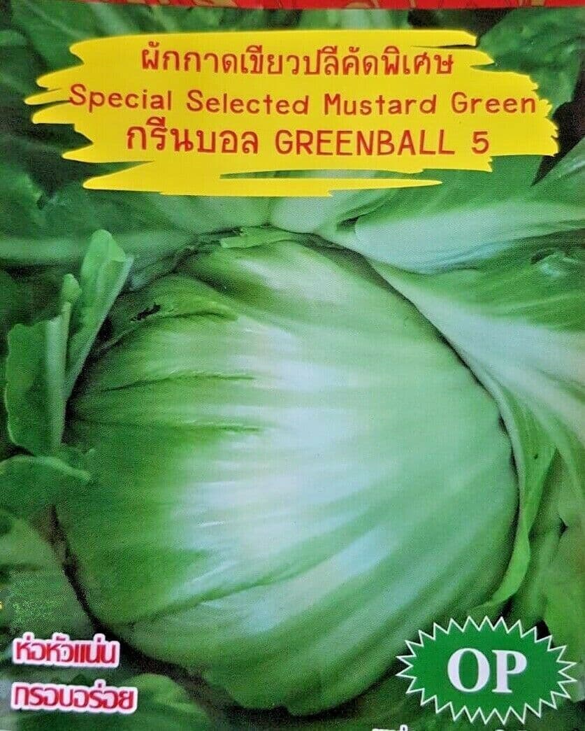 All Season Asian Thai Mustard Chinese Mustard GREENBALL Gai Choy 400 Seeds