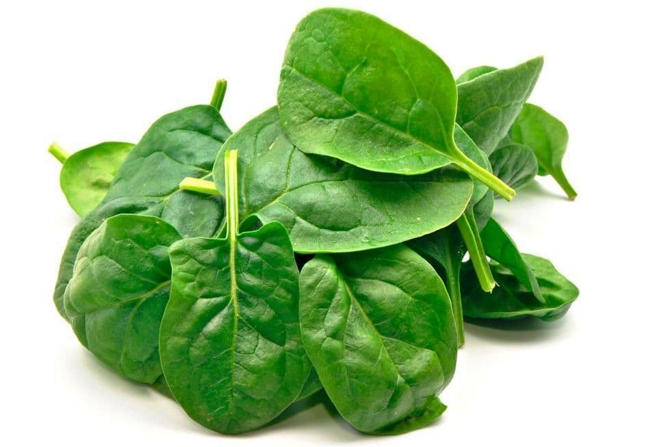 All Season Indian Bangladeshi Spinach Palong Shak Palak Palon Sak