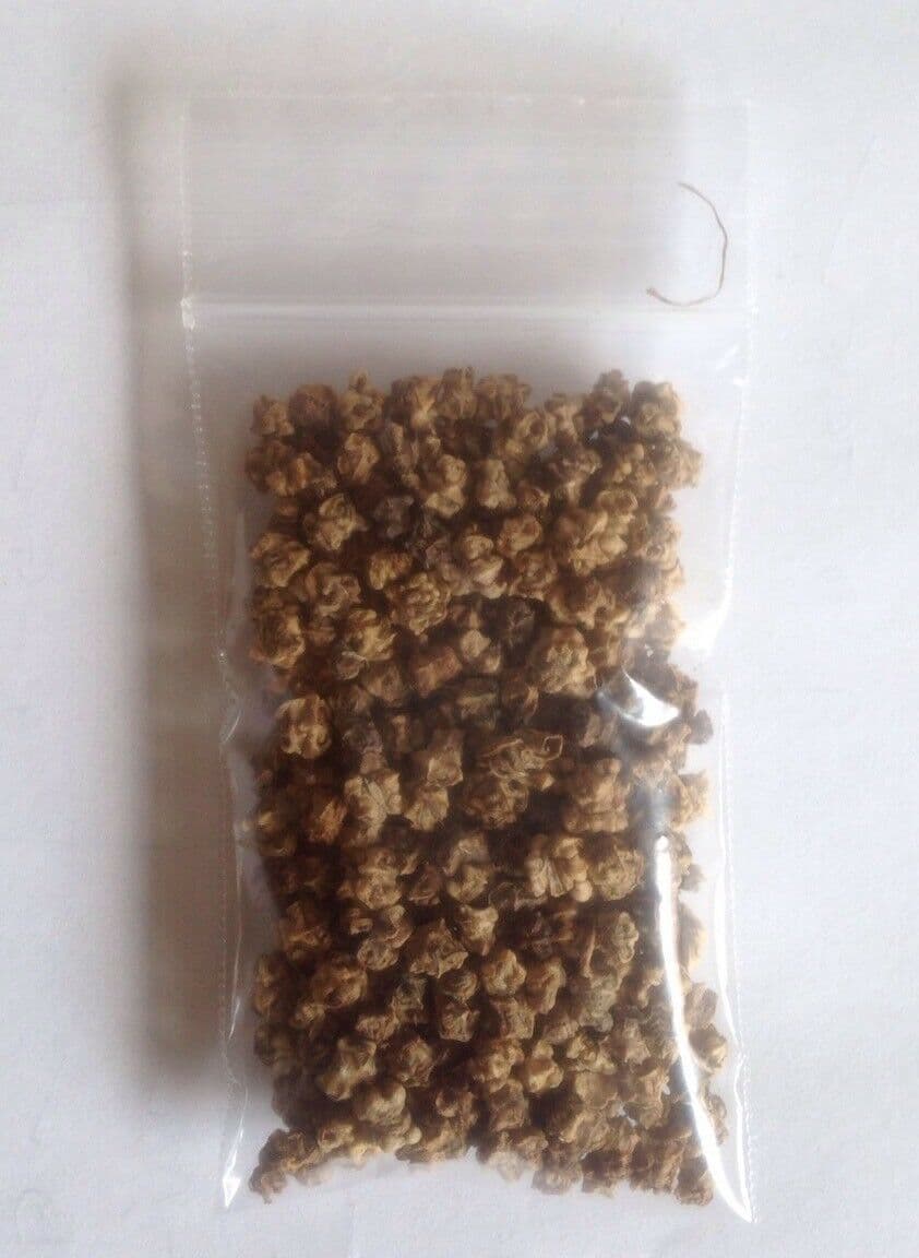 All Season Indian Bangladeshi Spinach Palong Shak Palak Palon Sak