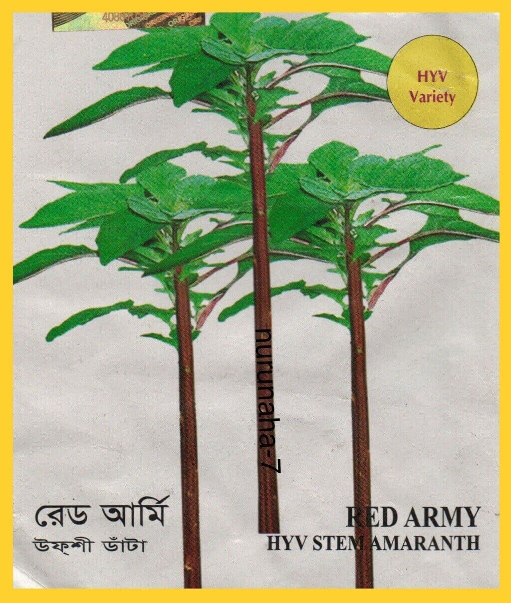 Asian Bangladeshi Seeds Red Army STEM AMARANTH Data Denga Dugi