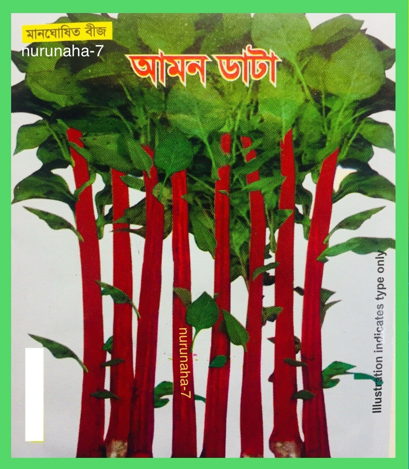 Asian Bangladeshi Vegetable Seeds GIANT Amaranth Data Denga Dugi 4g