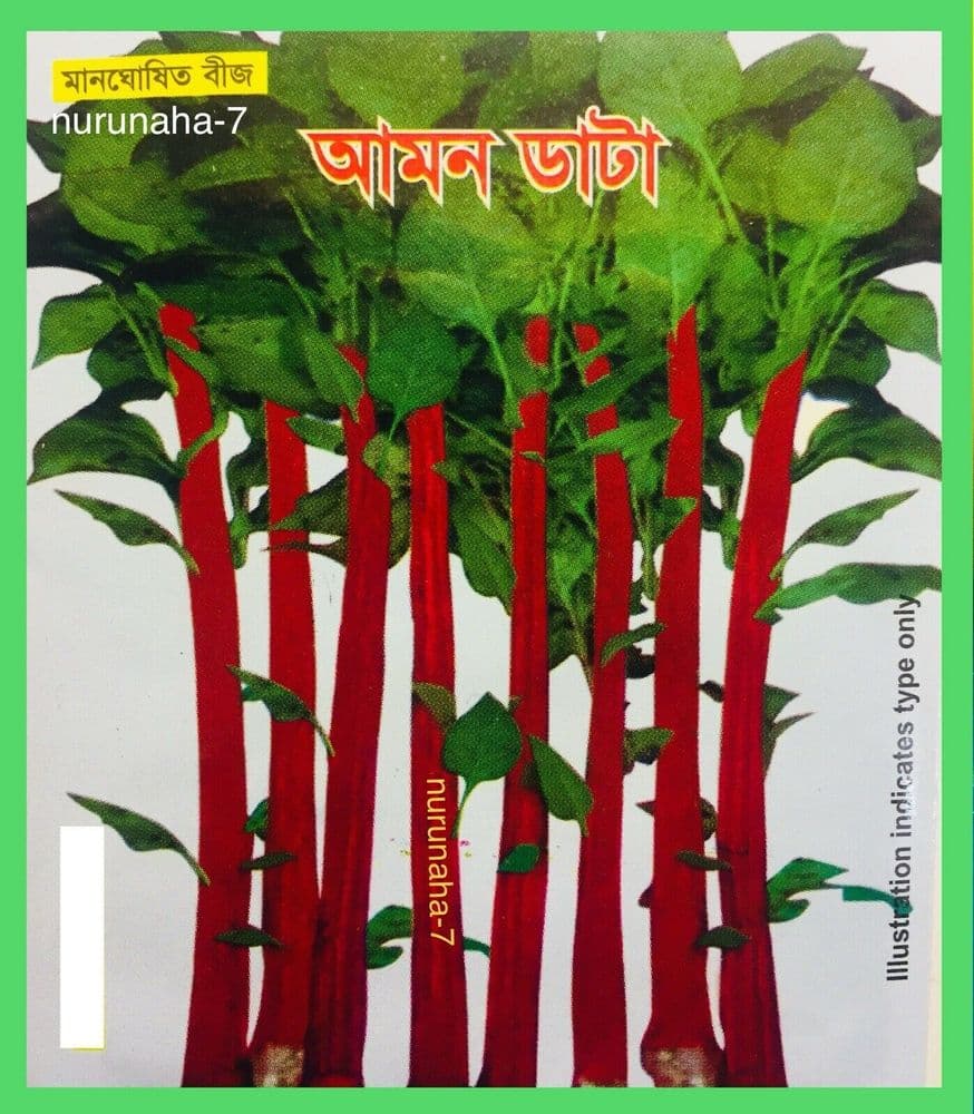 Asian Bangladeshi Vegetable Seeds GIANT Amon Stem Amaranth Data Dugi 4g