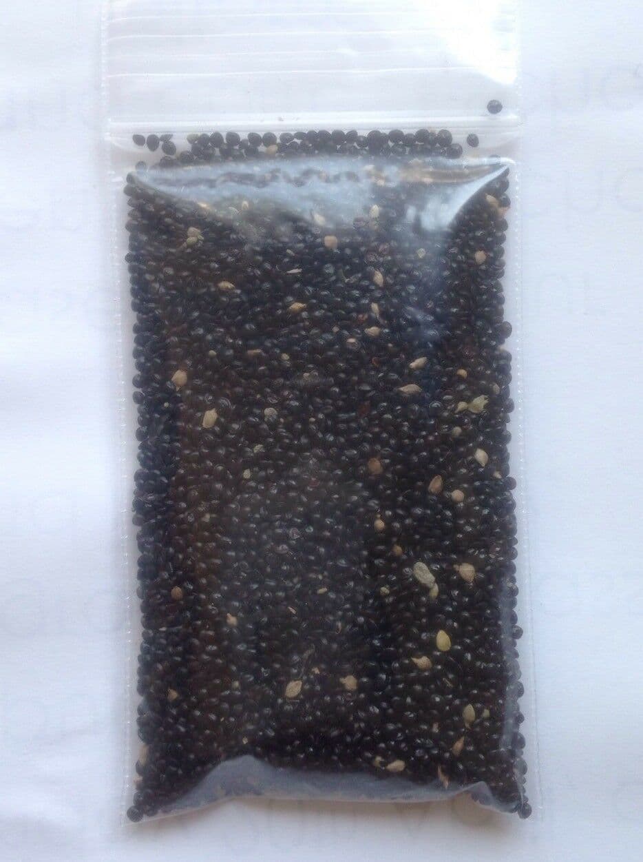 Asian Bangladeshi Vegetable Seeds GIANT Amon Stem Amaranth Data Dugi 4g