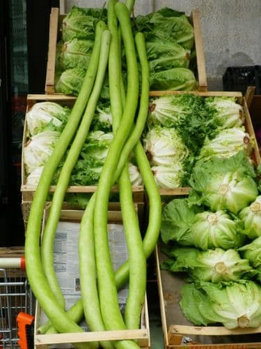 Indian, Bangladeshi Vegetable Seeds - Page 2