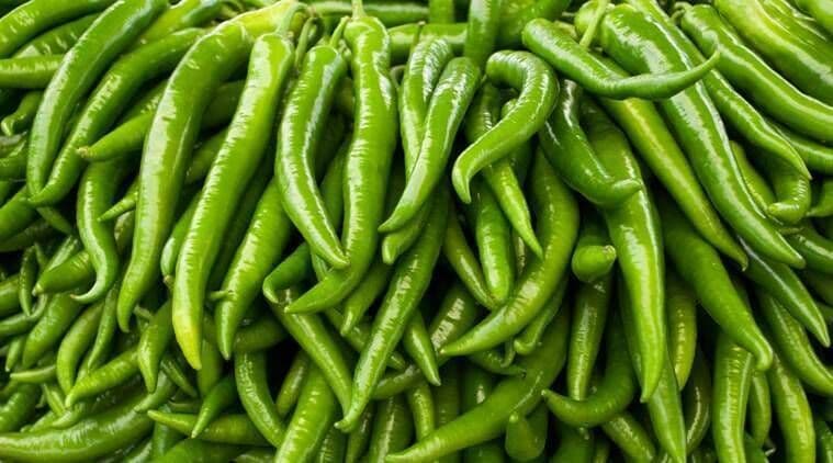 Bangladeshi INDIAN Hot Dwarf Green Chilli Kasa Morich 40 Seeds
