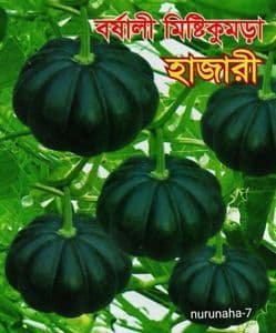 Indian, Bangladeshi Vegetable Seeds