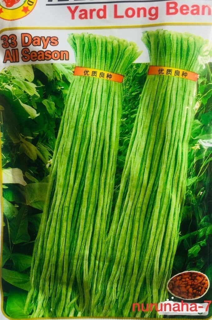 Bangladeshi Seeds White Yard Long Bean Lubi Uri Ramai Uri Borboti