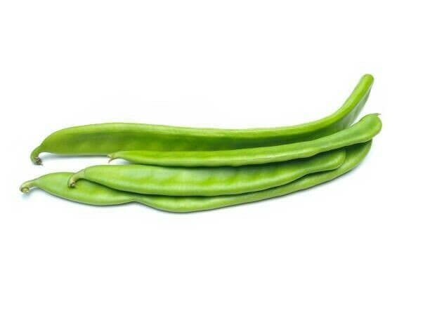 Bangladeshi Vegetable GIANT SWORD BEAN Mou Sim Jack Bean Talwar Uri 5 Seeds