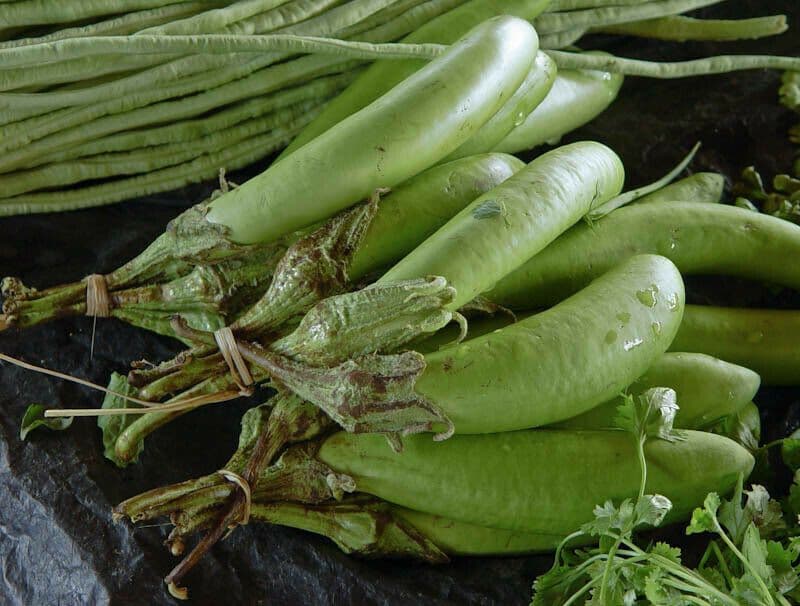 Bangladeshi Vegetable GREEN Aubergine Brinjal Begun Lota Baingon 30 Seeds