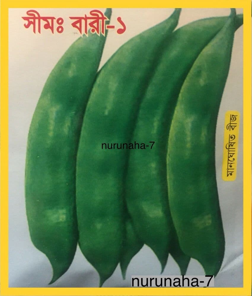 Bangladeshi Vegetable Hyacinth Bean Seeds Sheem Beej Aina Uri Bari-1 ...