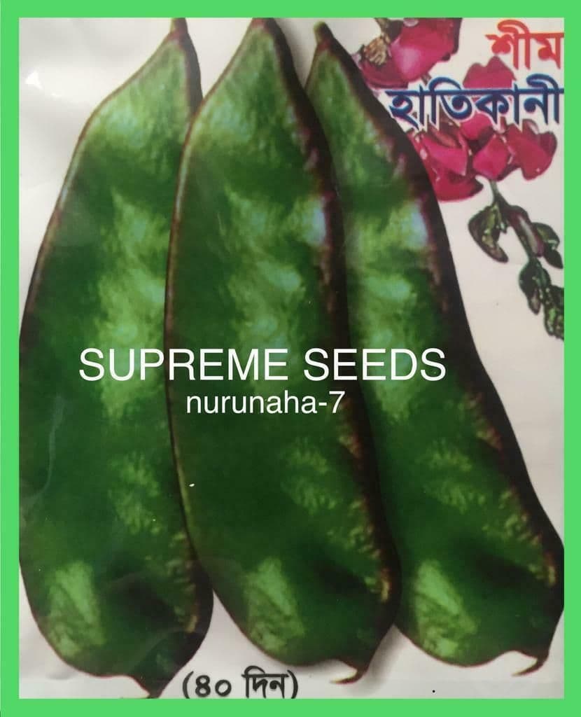 Bangladeshi Vegetable Hyacinth Bean Seeds Sheem Beej Uri Hatikani 10 seeds