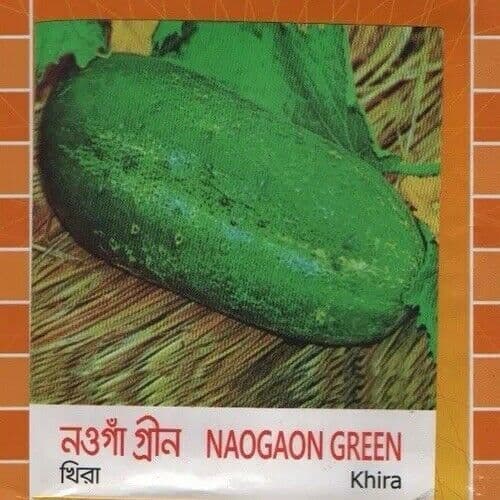 Bangladeshi Vegetable Short Cucumber/ Khira/ 100 Finest Quality 40 Seeds