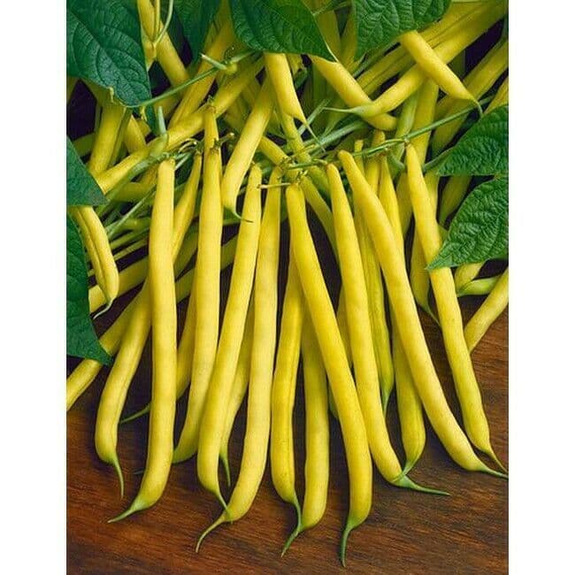 Bangladeshi Vegetable Yellow French Bean Forash Uri seam 15 seeds