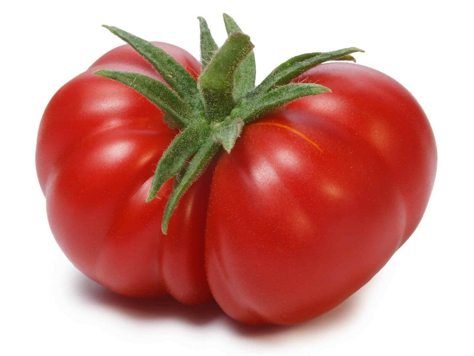 Beef Tomato - Costoluto Fiorentino - Excellent Flavour 20 seeds