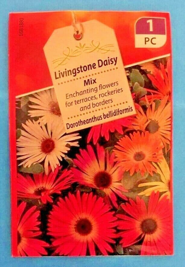 Flower Seeds Livingstone Daisy Dortheanthus Bellidiformis Un-opened 1 Pack