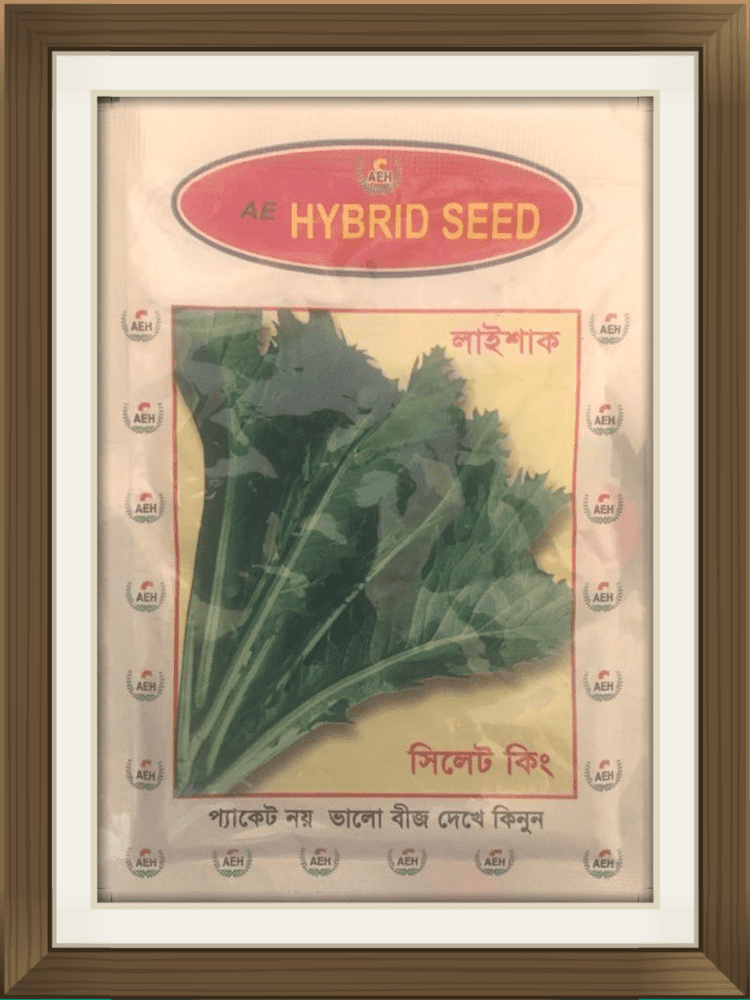 Full Pack Bangladeshi Salad Mustard Sarson Boro Pata Lai 1pk seeds