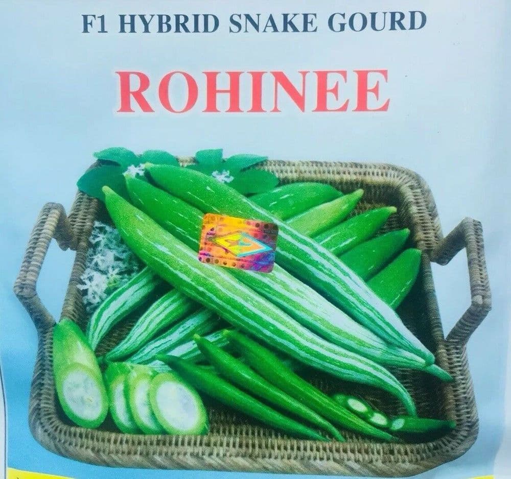 HYBRID F1 Bangladeshi Snake Gourd Chichinda Chichinga Padval Kohi 10 ...