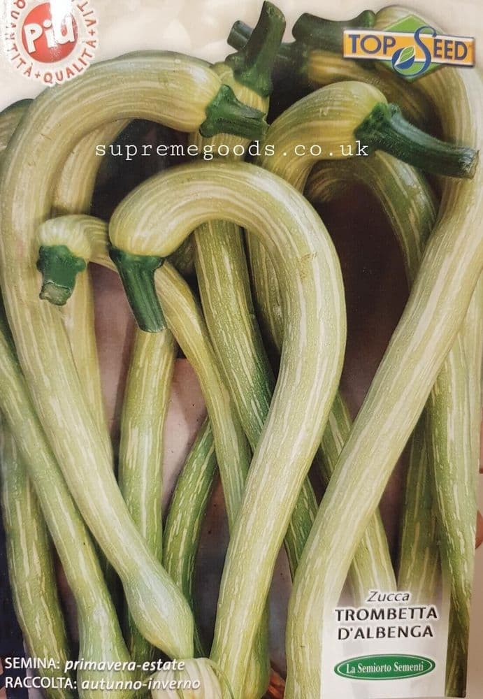 Hybrid ITALIAN LONG ZUCHINNI Vegetable Courgette Zucchini High Variety ...