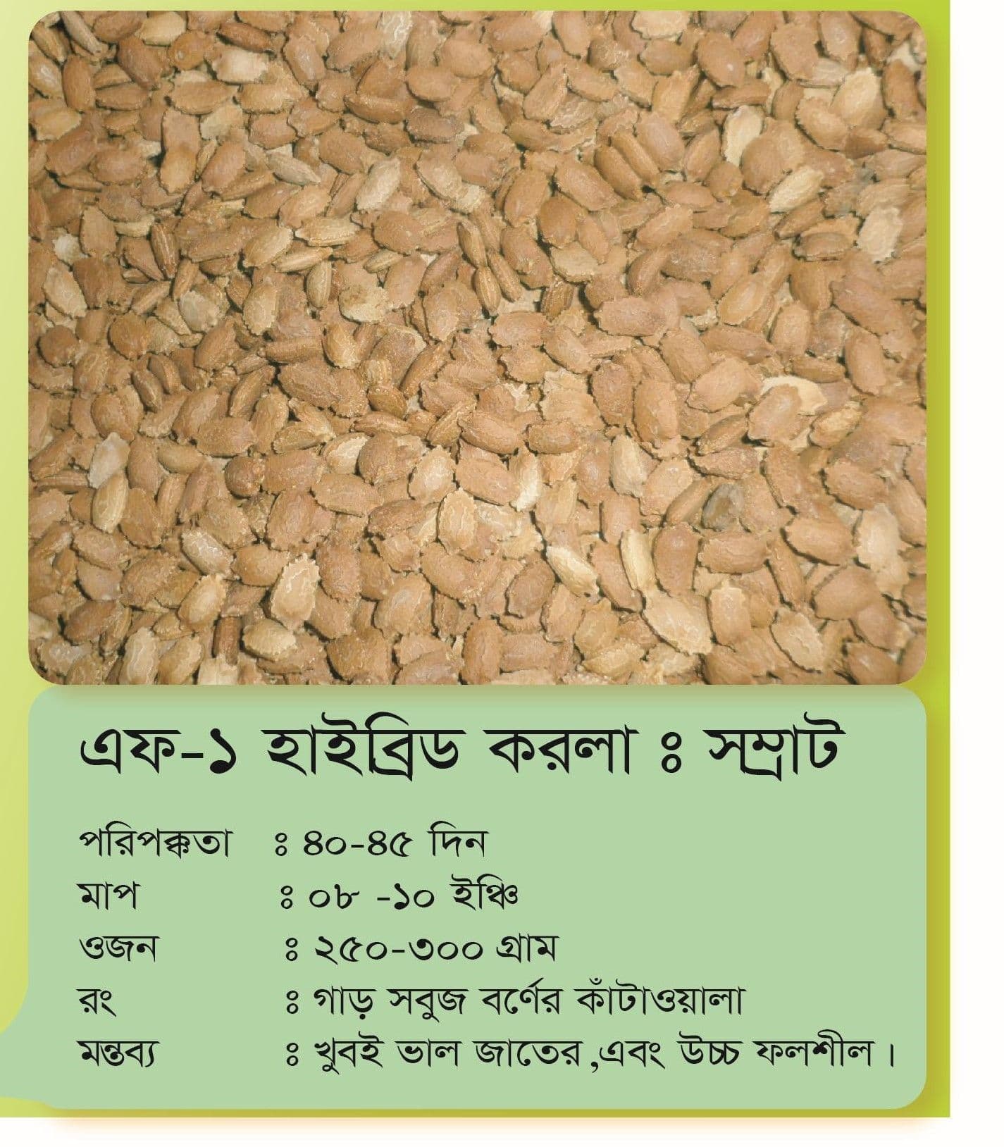 Indian Bangladeshi Seeds Kerela - Bitter Gourd Karella
