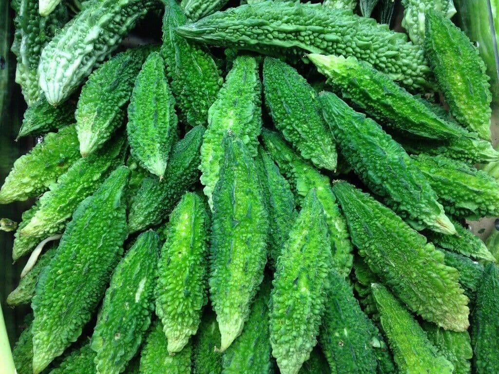 Indian Bangladeshi Seeds Kerela -Bitter Gourd Karella 10 Seeds