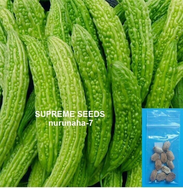 Indian Bangladeshi Seeds Kerela - Bitter Gourd Karella Bitter Melon 10 ...