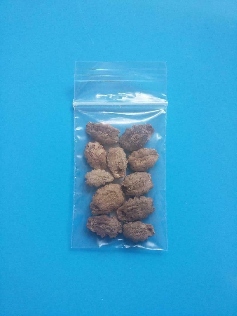 Indian Bangladeshi Snake Gourd Chichinda Chichinga Padval Kohi 10 Seeds