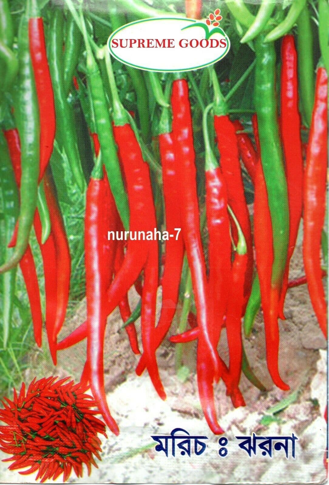 Indian Bangladeshi Super Hot Green Chilli Kasa Morich Jhorna 30 Seeds