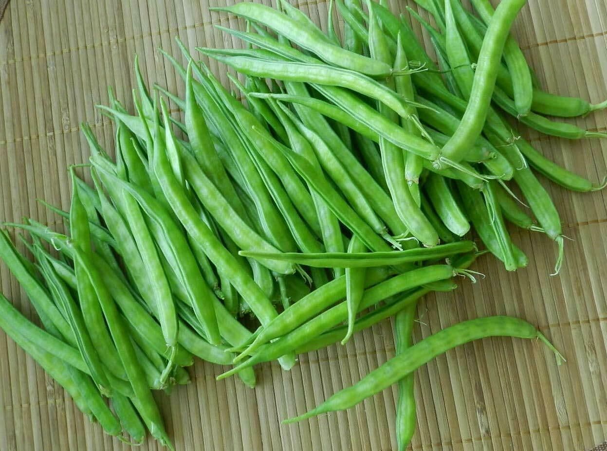 Indian Bangladeshi Vegetable Guar Bean or Cluster Bean Guwar Bean 30 Seeds