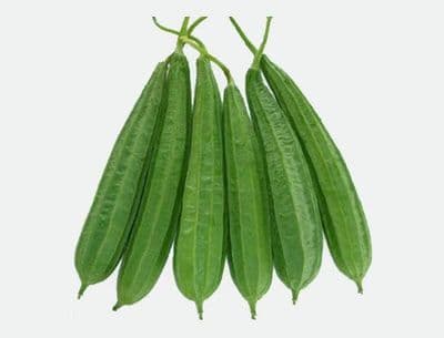 Indian, Bangladeshi Vegetable Seeds - Page 2