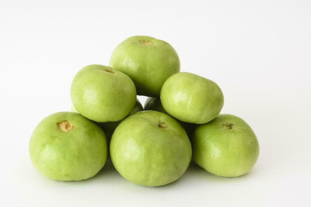 Indian Bangladeshi Vegetable Tinda Apple Gourd Indian Baby Pumpkin 10 Seeds
