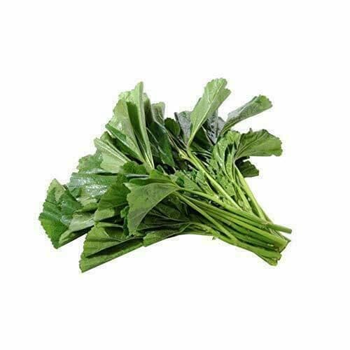 Thai Vegetable Chinese Mallow Malva parviflora Napa Shak Lapa Shak 500 ...