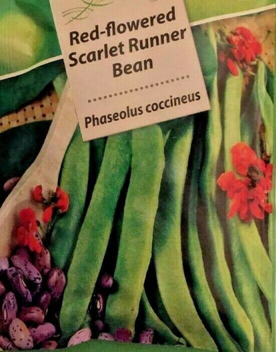 Vegetable Runner Bean Seeds Red Flower runner Bean Uri 8 Seeds