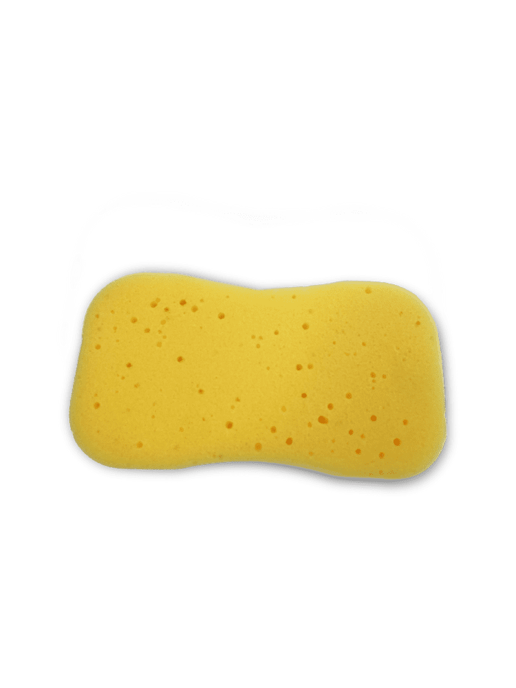 Jumbo Sponge