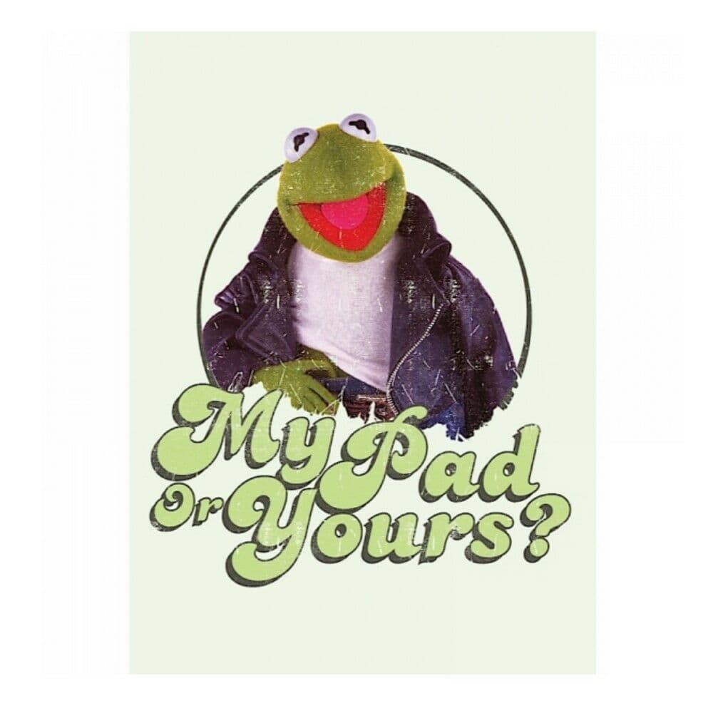 Disney Muppets Kermit The Frog Fridge Magnet