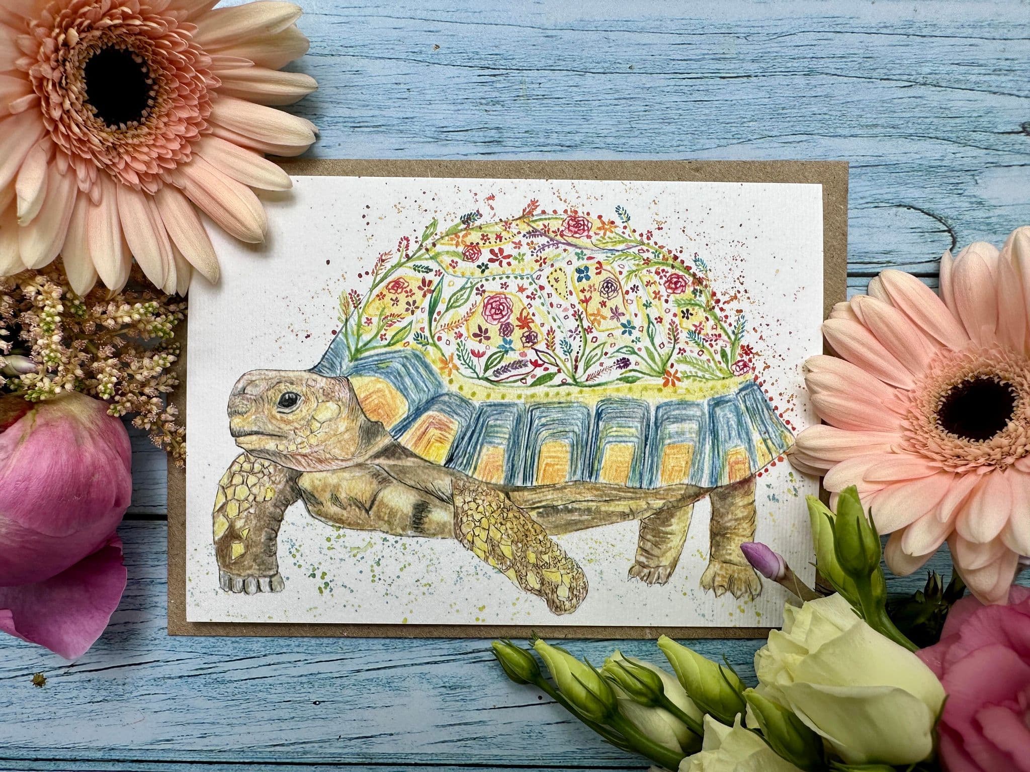 TERRY THE TORTOISE ECO CARD