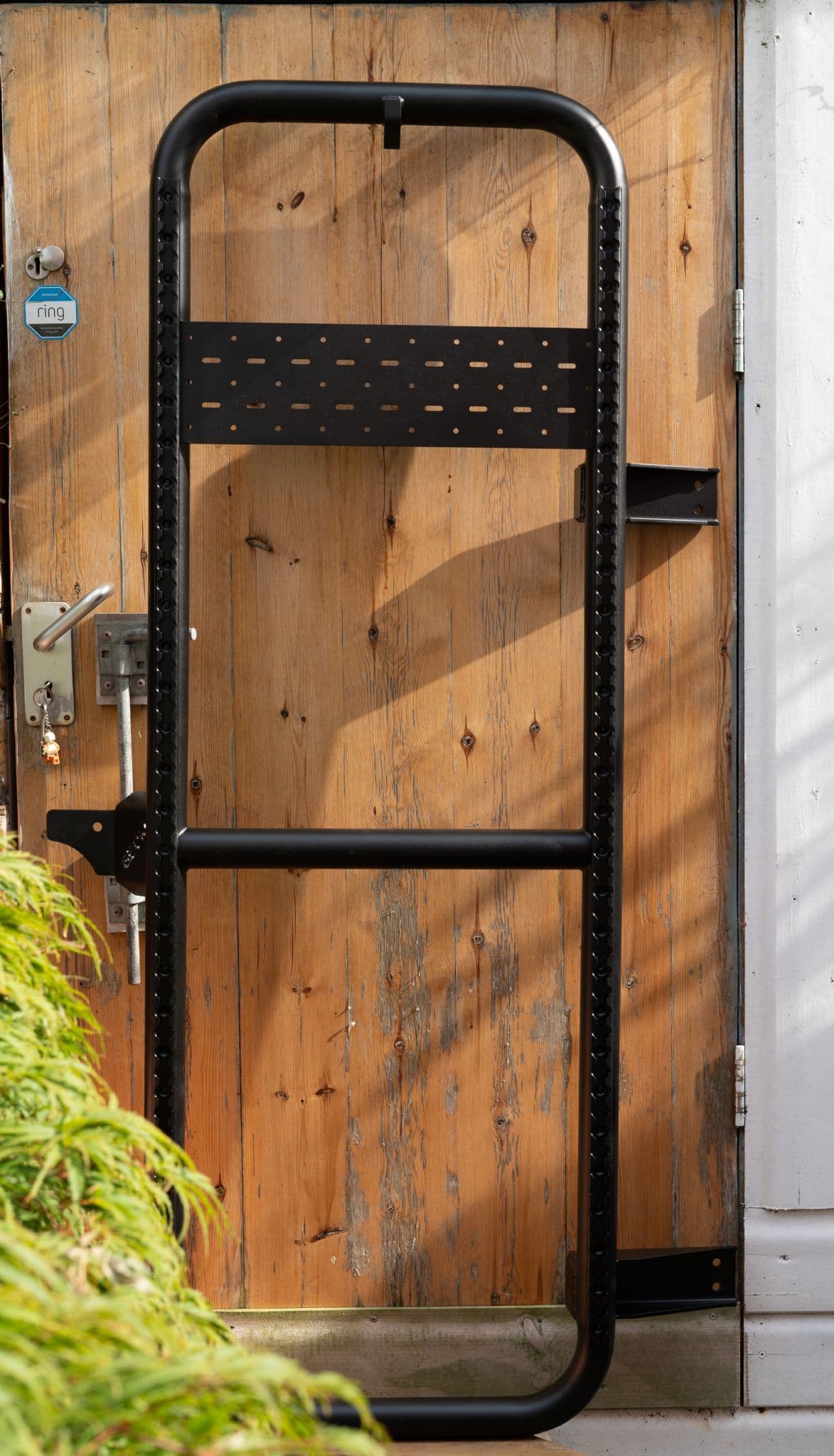 Gecko Van Komodo Mercedes Sprinter 2019 Multi use carrier