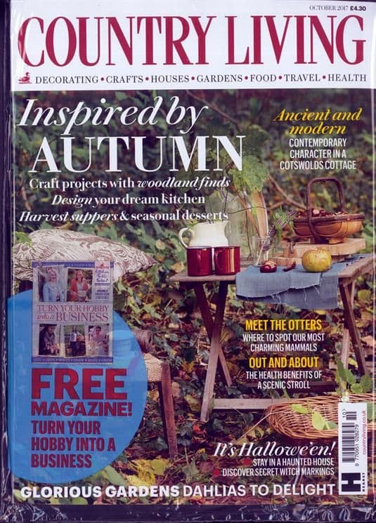 Free Country Home Decor Magazines | Shelly Lighting