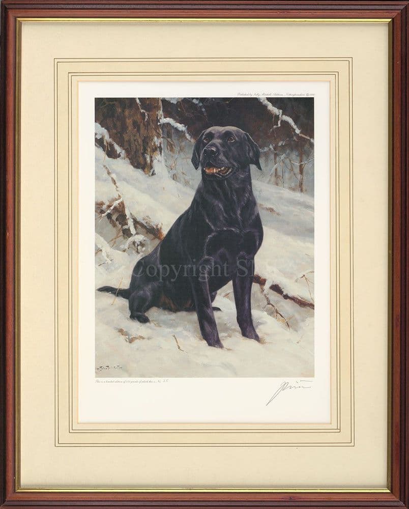 Black Lab VII Ex-Display Dog Print by John Trickett