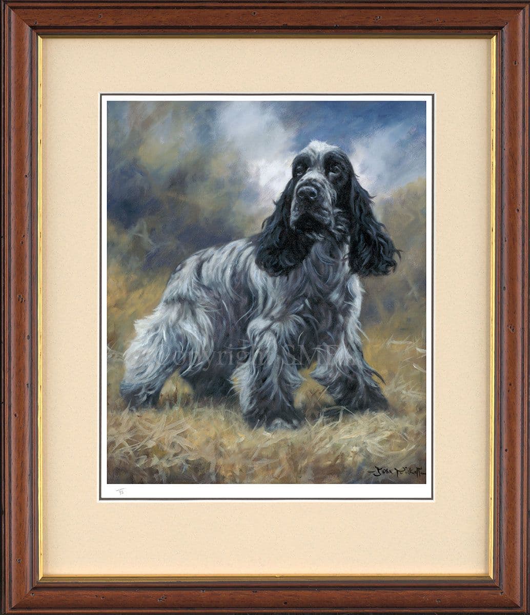 Cocker Cocker Spaniel Print by John Trickett