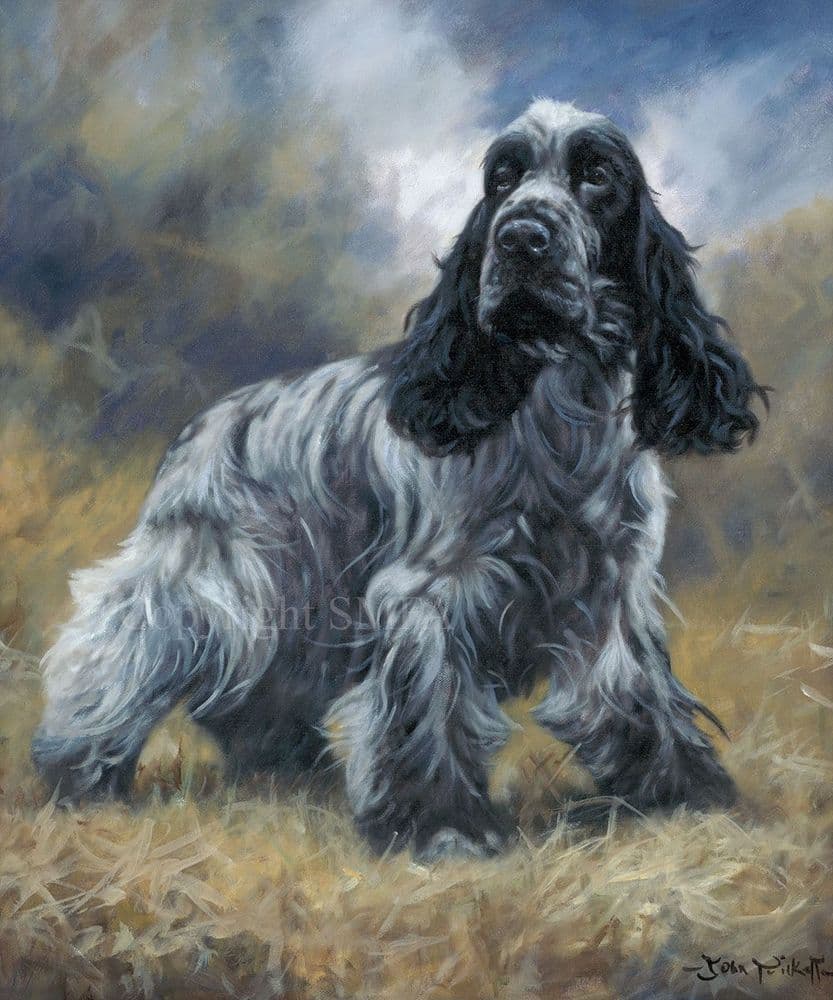 Cocker Cocker Spaniel Print by John Trickett