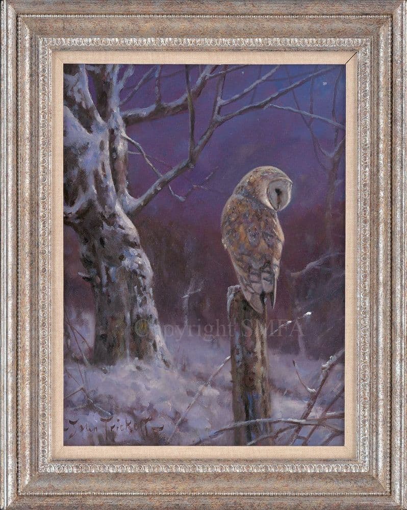 Elegance Original Barn Owl Painting by John Trickett